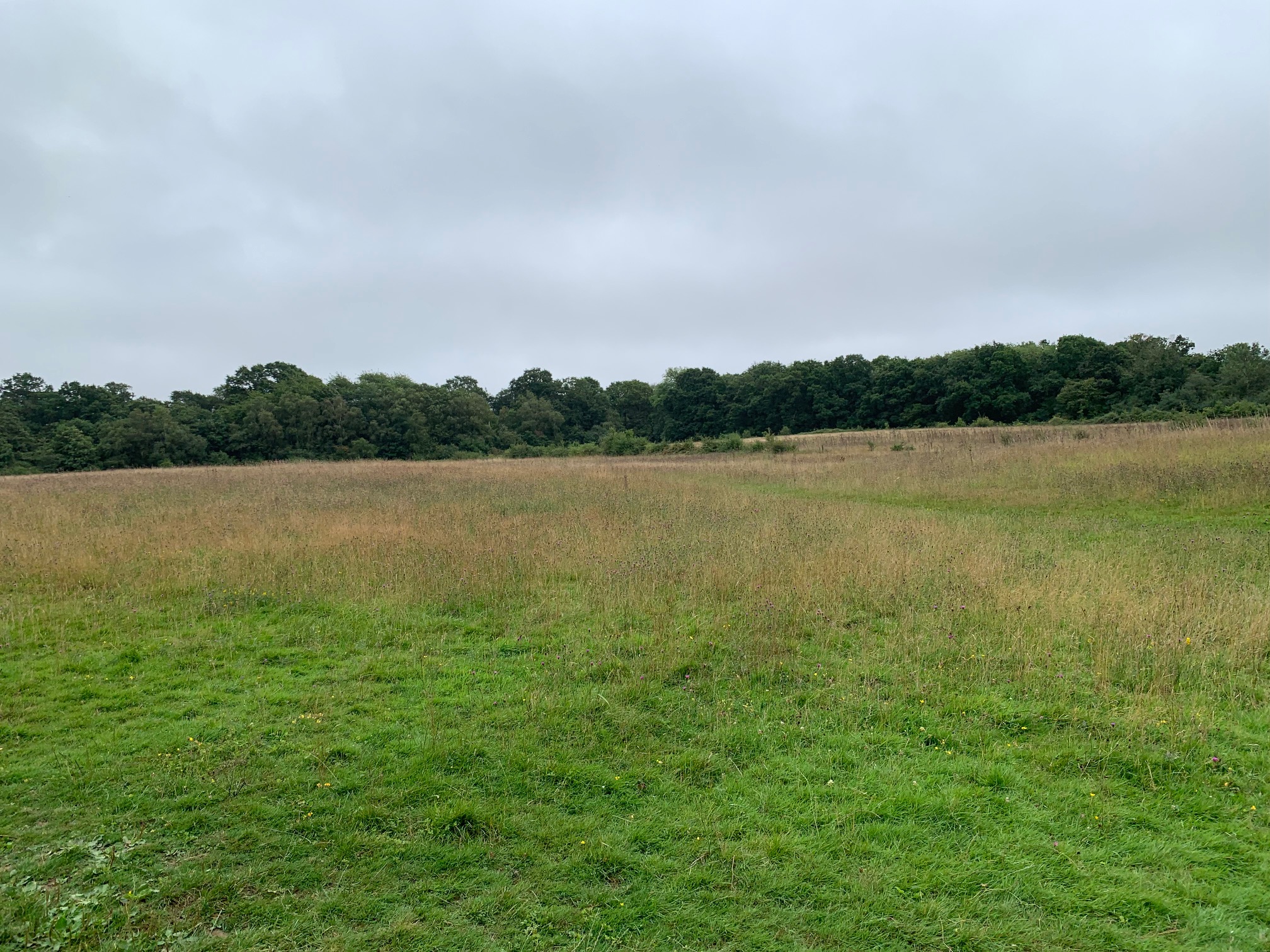 Country Parks, Commons and Nature Reserves - Walking Pace