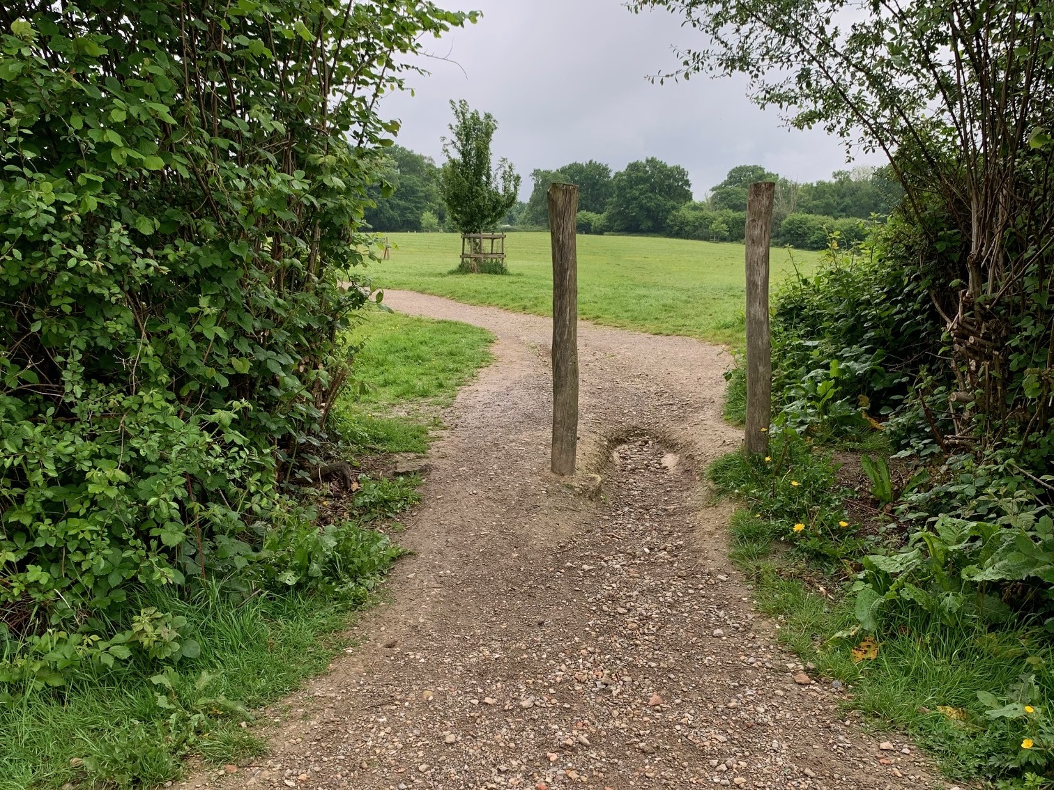 Small changes, big difference - Walking Pace